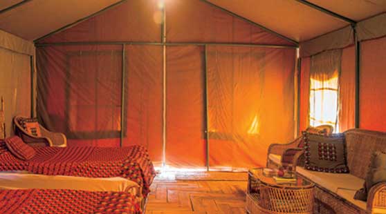 Safari Tent – Himal Tents